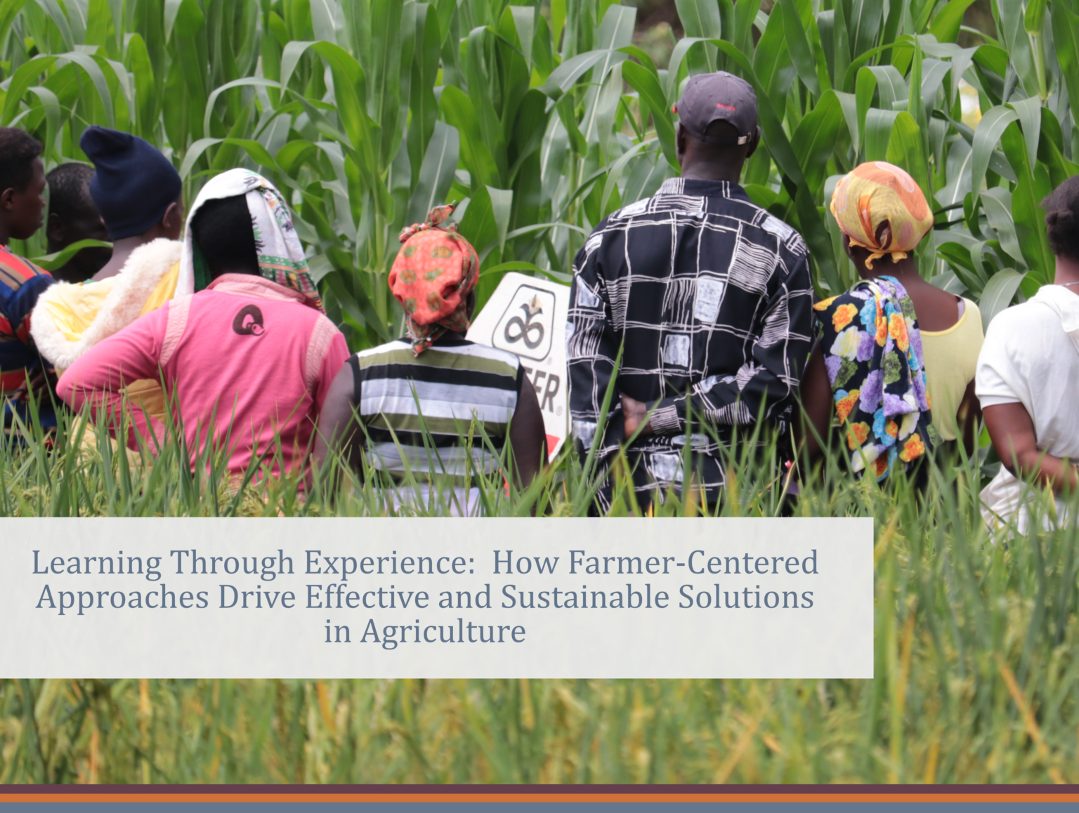 Learning Through Experience: How Farmer-Centered Approaches Drive ...
